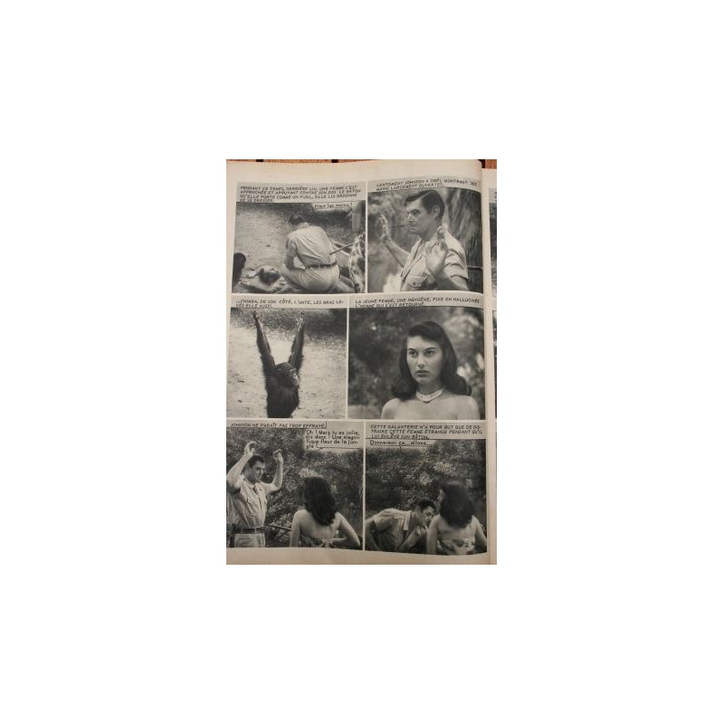 Magazine Star Cine Cosmos 1964 Johnny Weissmuller Judy Walsh David ...